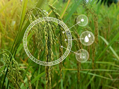 CSSA Home | Crop Science Society of America